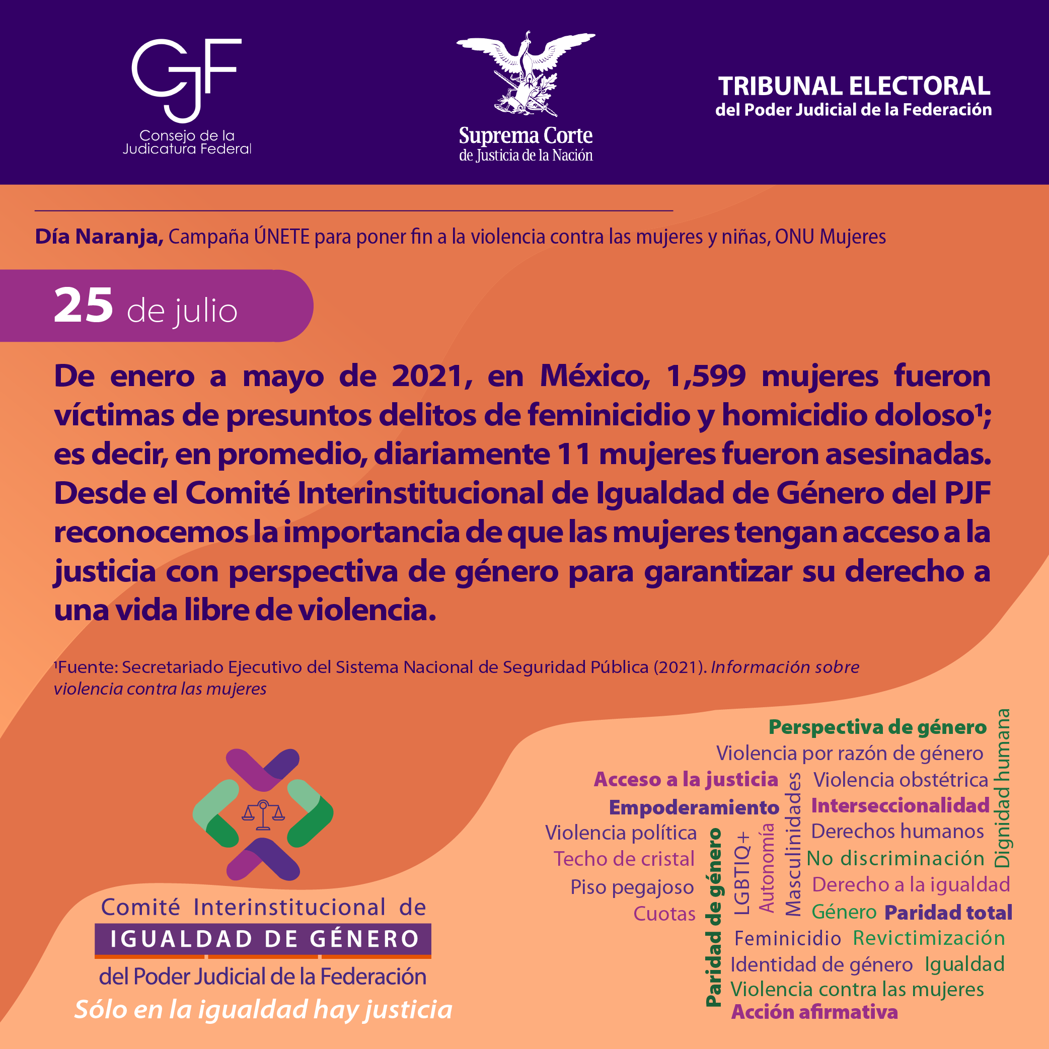 Efemérides | Comité Interinstitucional de Igualdad de Género